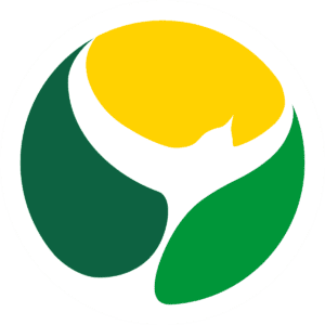 Home - Study First Group